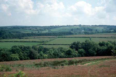 Archaeology in Wales - Ymddiriedolaeth Archaeolegol Dyfed - Dyfed ...