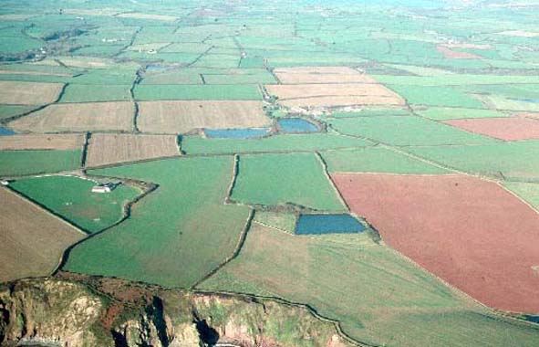 Archaeology in Wales - Ymddiriedolaeth Archaeolegol Dyfed - Dyfed ...