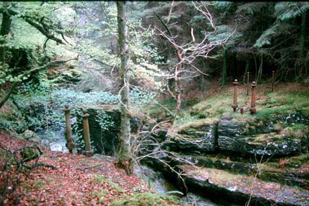 Archaeology in Wales - Ymddiriedolaeth Archaeolegol Dyfed - Dyfed ...