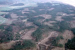 Pembrey Forest - Historic Landscape Character Area - Heneb