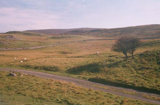 Area 199 - Beddau y Derwyddon - Historic Landscape Character Area - Heneb