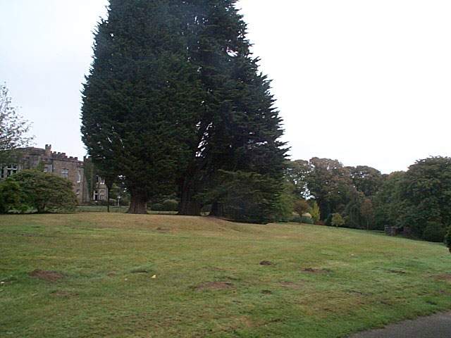 Clyne Castle - Historic Landscape Character Area - Heneb