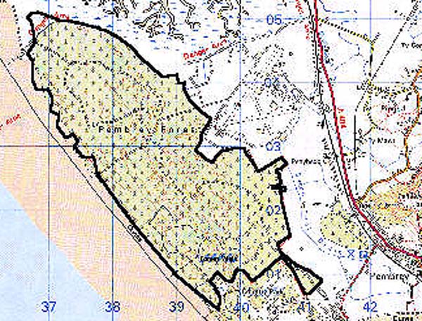 Pembrey Forest - Historic Landscape Character Area - Heneb