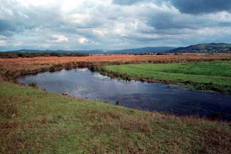 Cors Caron - Historic Landscape Character Area - Heneb