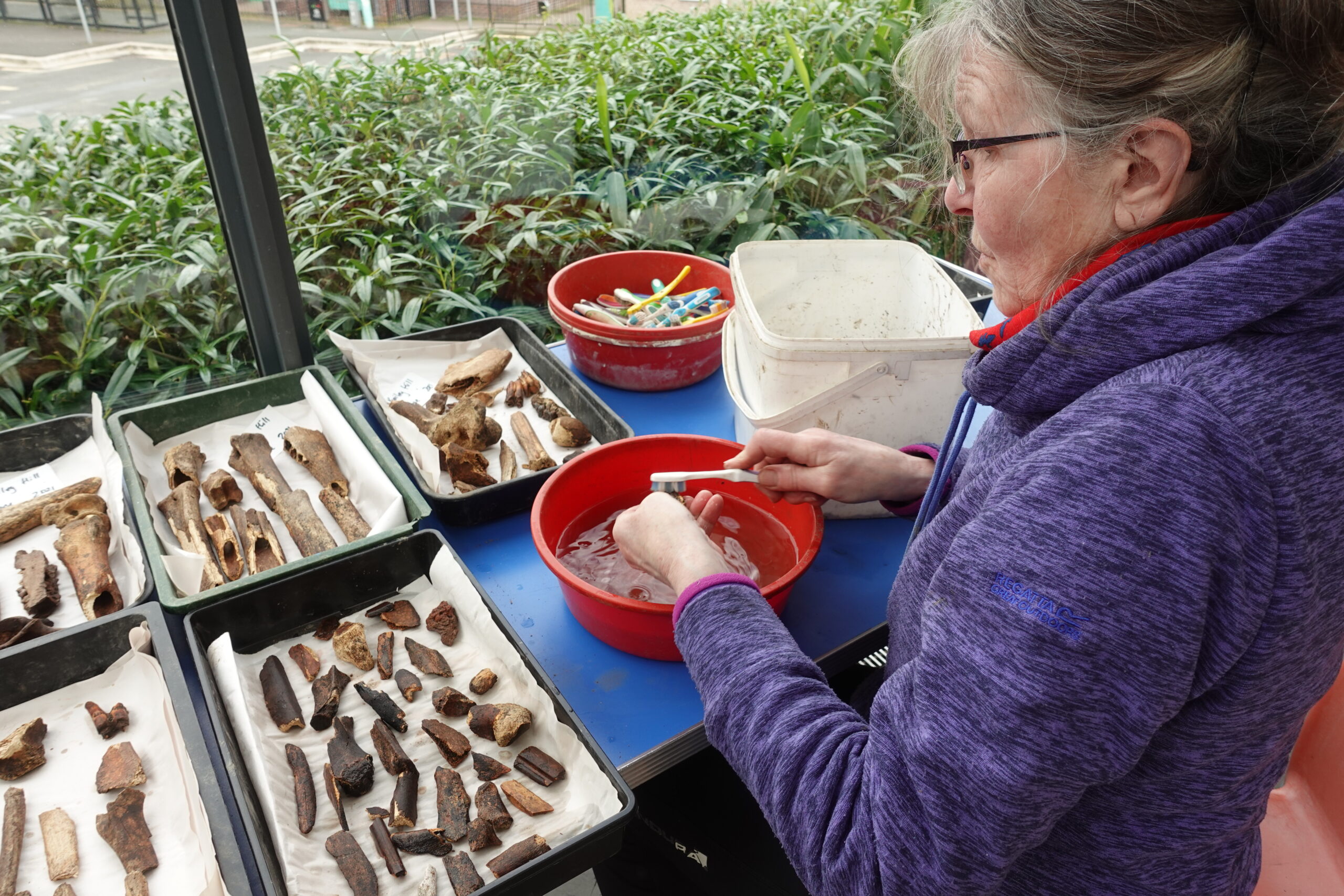 Finds Lab open days - Heneb News